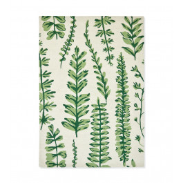 Ferns in Juniper | Scion Living