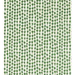 Sorrel in Forest| Scion Living